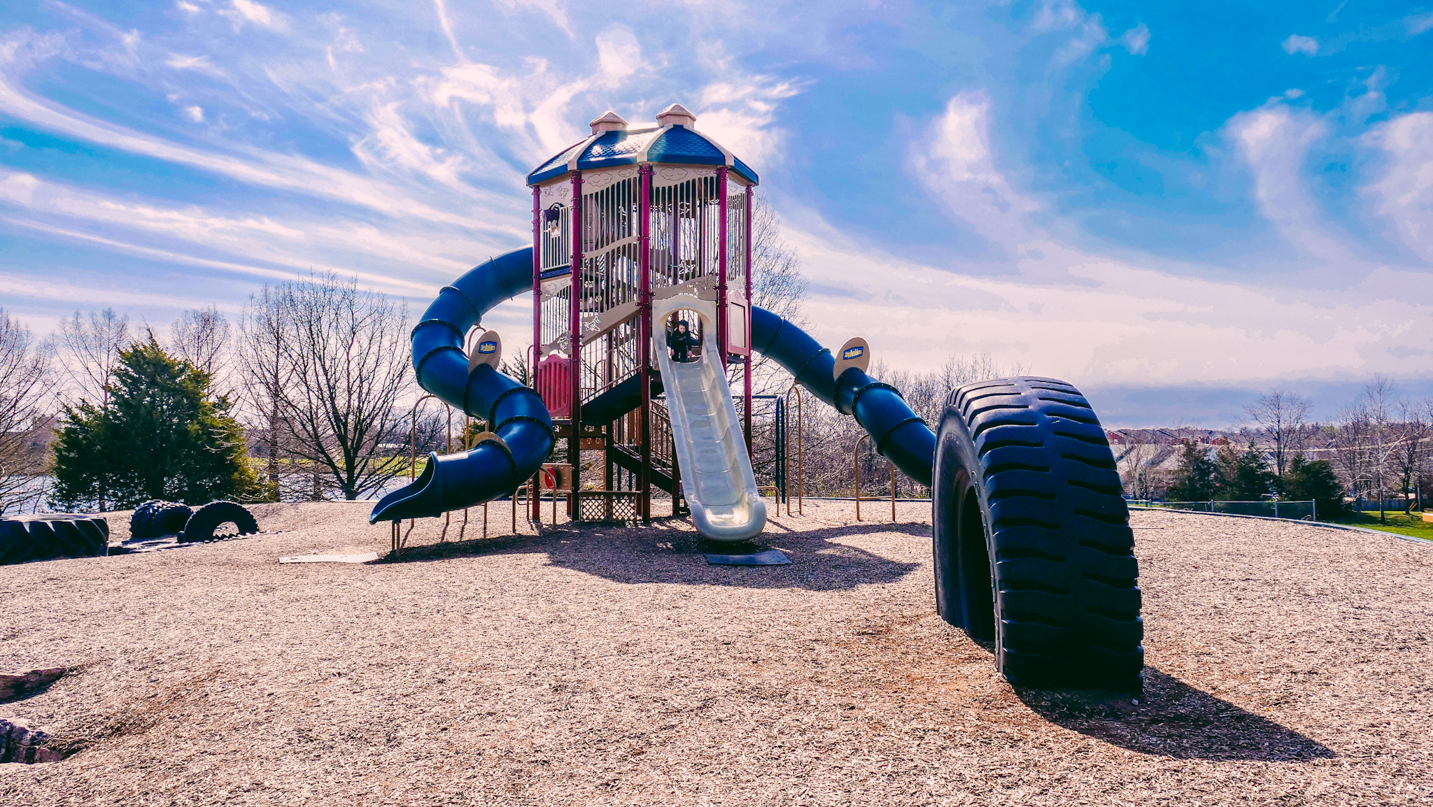 Cosmo - Bethel Park | Columbia Missouri - Adventures with C3